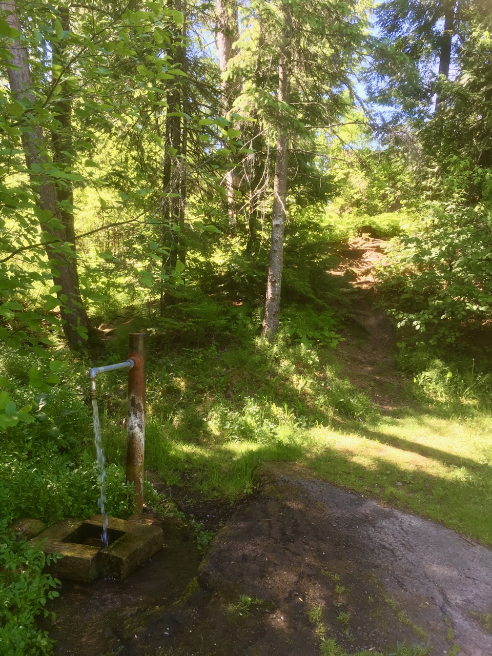 Prentice Park | Wynded Words