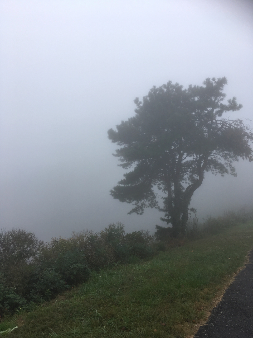 Blue Ridge Parkway and Bandits Roost | Wynded Words