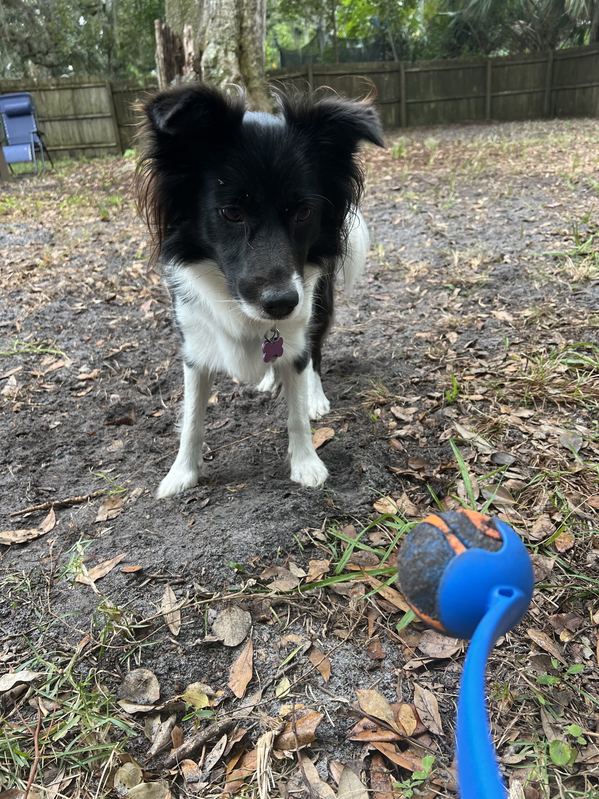 Head Exploding | Wynded Words